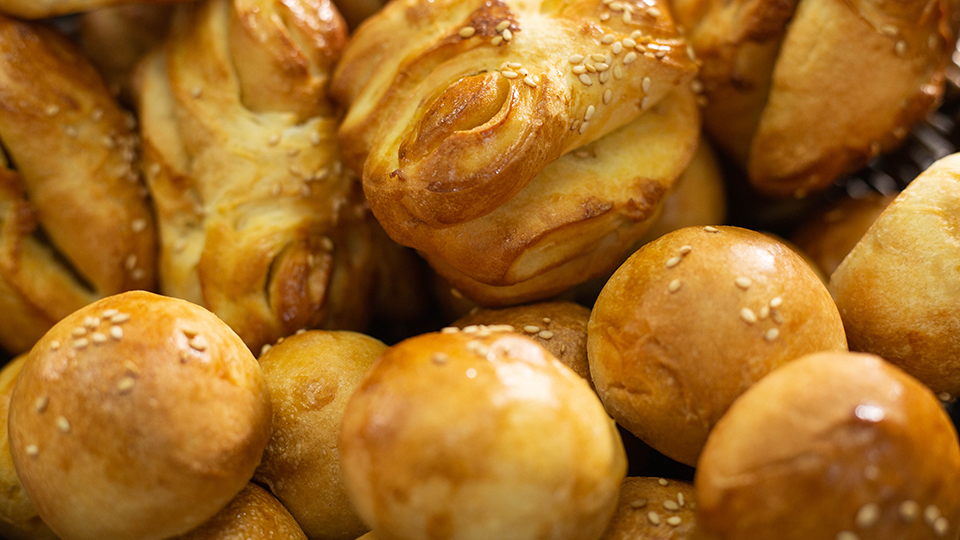 Petit Pan – INSTITUTO NOVA